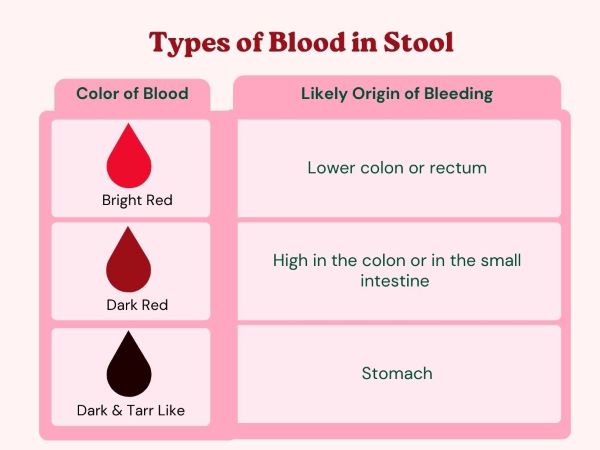 Blood In Stool All You Need To Know